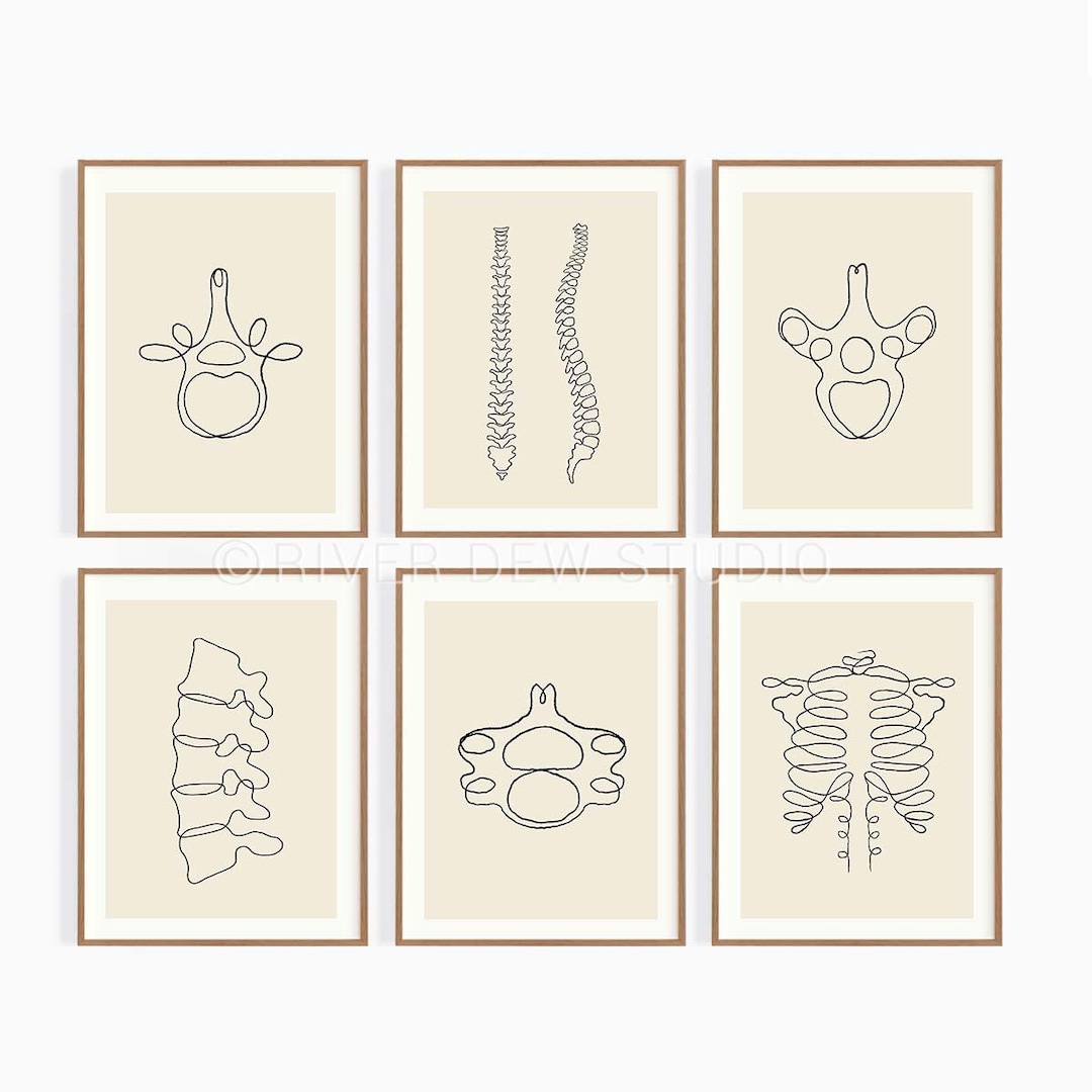 Spine Orthopedics Line Drawing Art Set of 6 Instant Download Art Print ...
