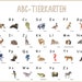 ABC Lernkarten Tiere Montessori Buchstaben Karten ABC-Wandbild Alphabet ...