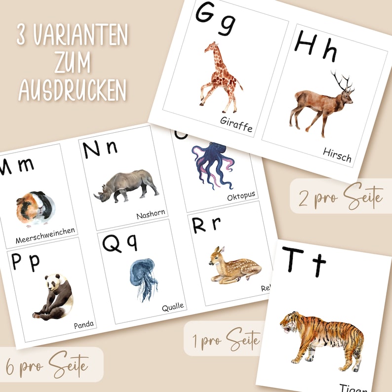 ABC Lernkarten Tiere | Montessori Buchstaben Karten | ABC-Wandbild ...