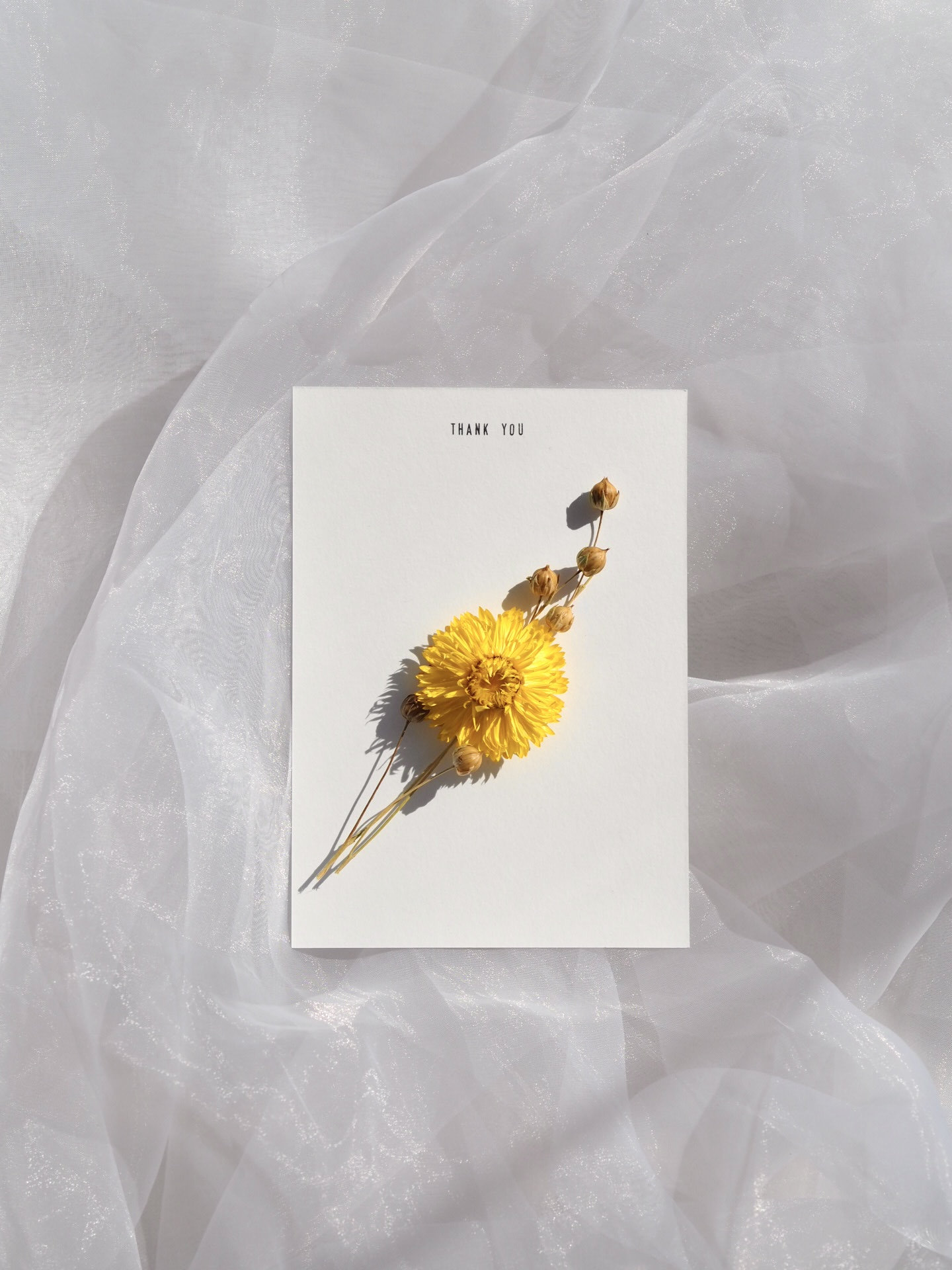 Dried Flower Greeting Cards | Birthday Card | Thank You Card | Dried ...