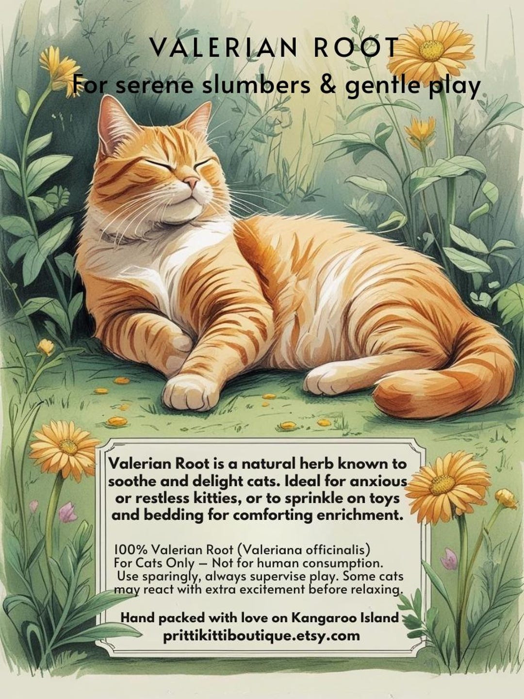 Dried Valerian Root for Cats: Natural Calming Enrichment, Australian ...