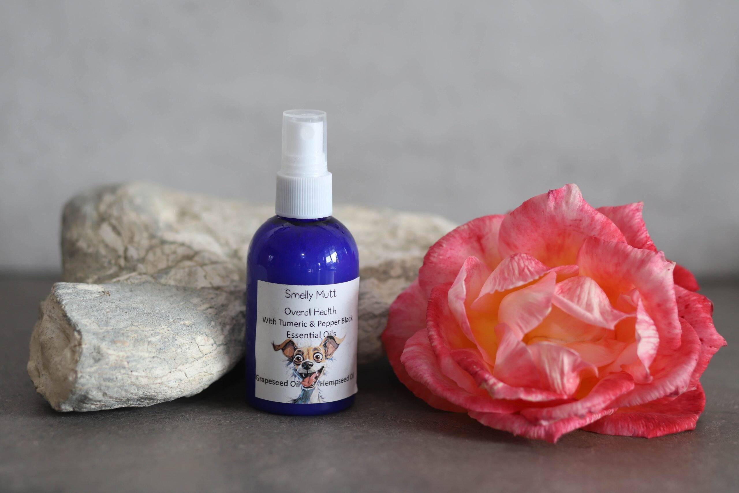 Overall Health Spritzer for Dogs - Etsy