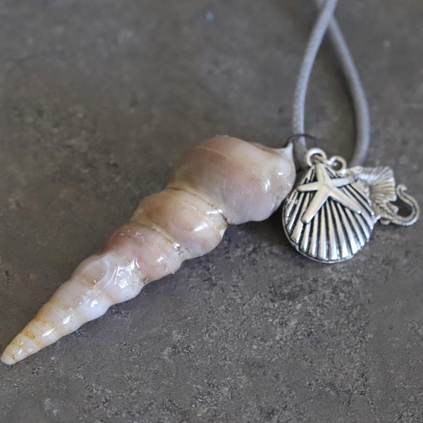 Real Seashell Necklace - Etsy