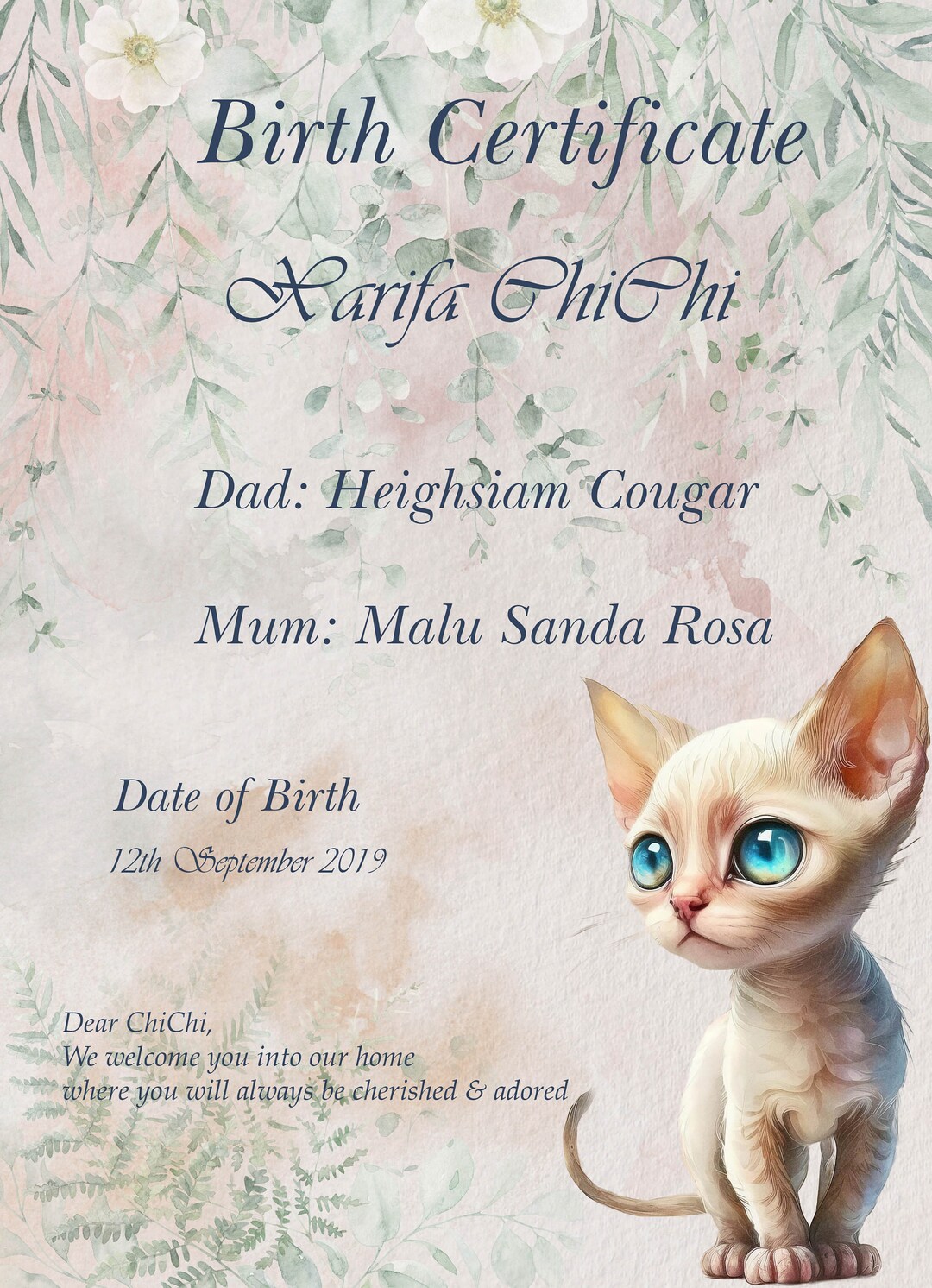 Personalised Digital Cat Birth Certificate, Customized Kitten ...