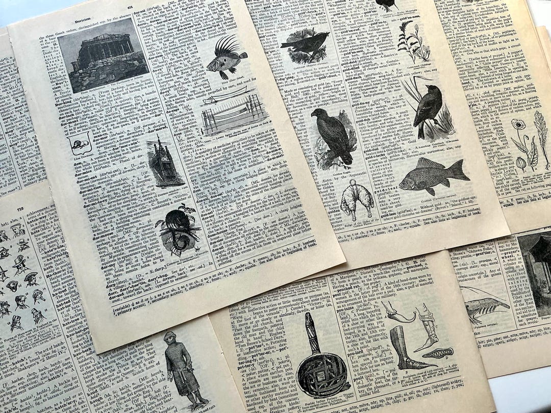 20 Big Heavy Illustrated Dictionary Pages: Antique Book Paper Ephemera ...