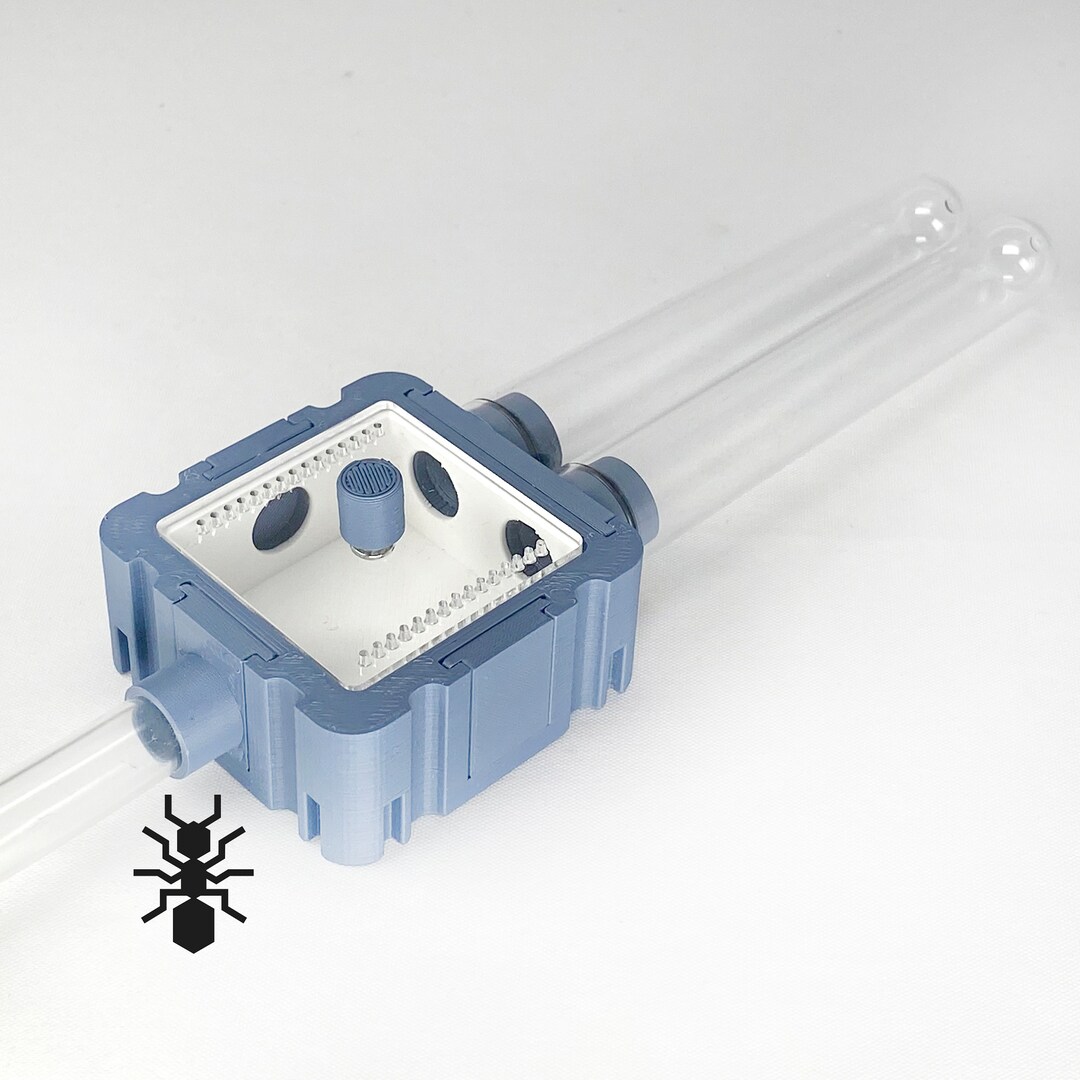 Ants Small Outworld With Testtubes 5x5 Module | Formicaria Ant Supplies ...
