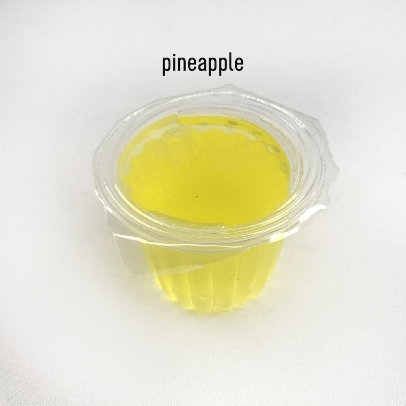 Protein and Sugar Jelly for Ants, Beetles and Other Pet Animals ...