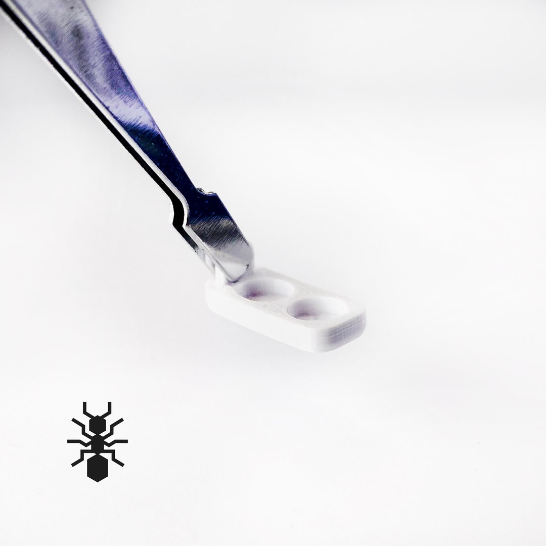 Small Ants Feeding Dish Liquid or Solid Food | Formicaria Ant Supplies ...