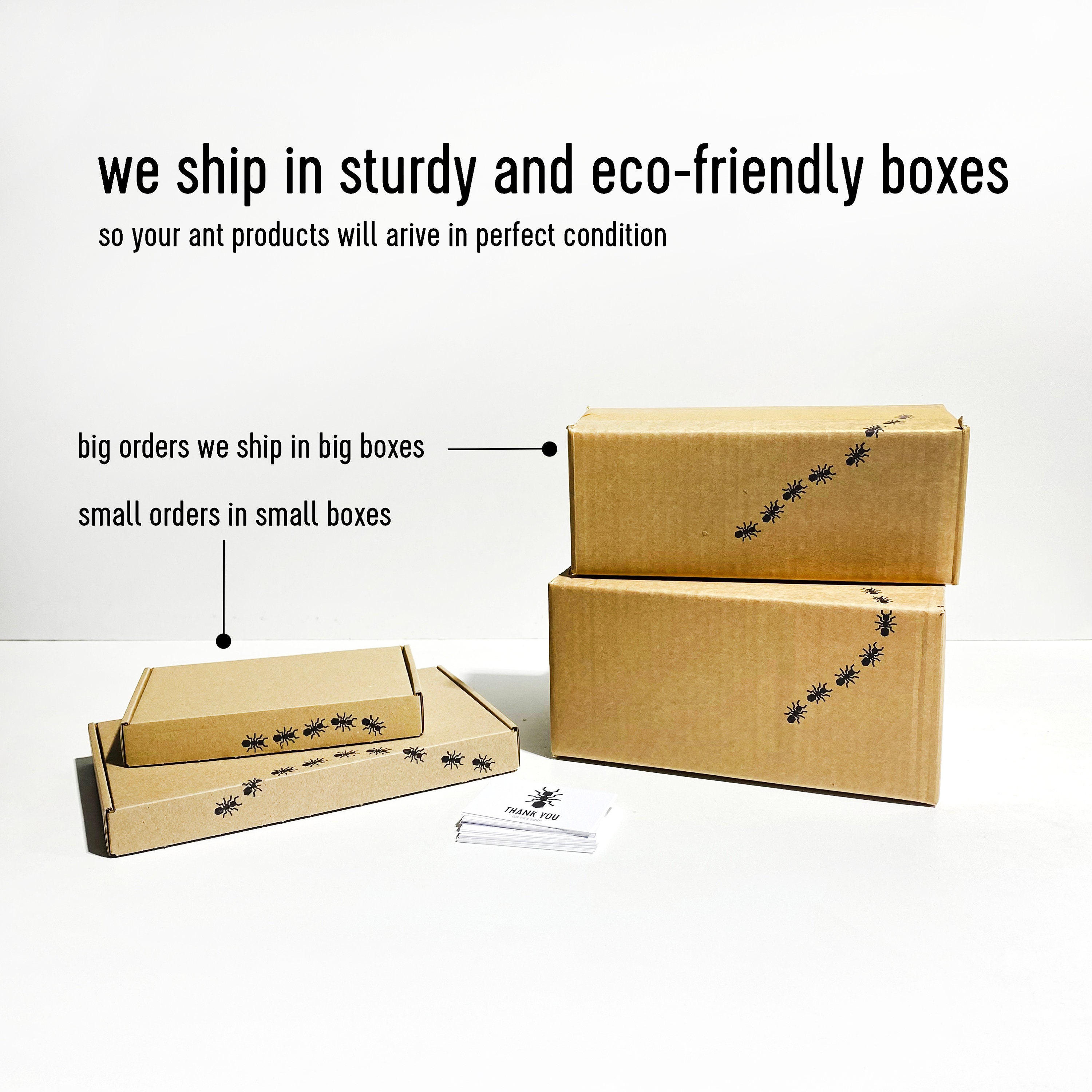 Ant Feeding Dish Large, Liquid or Solid Food | Formicaria Ant Supplies ...