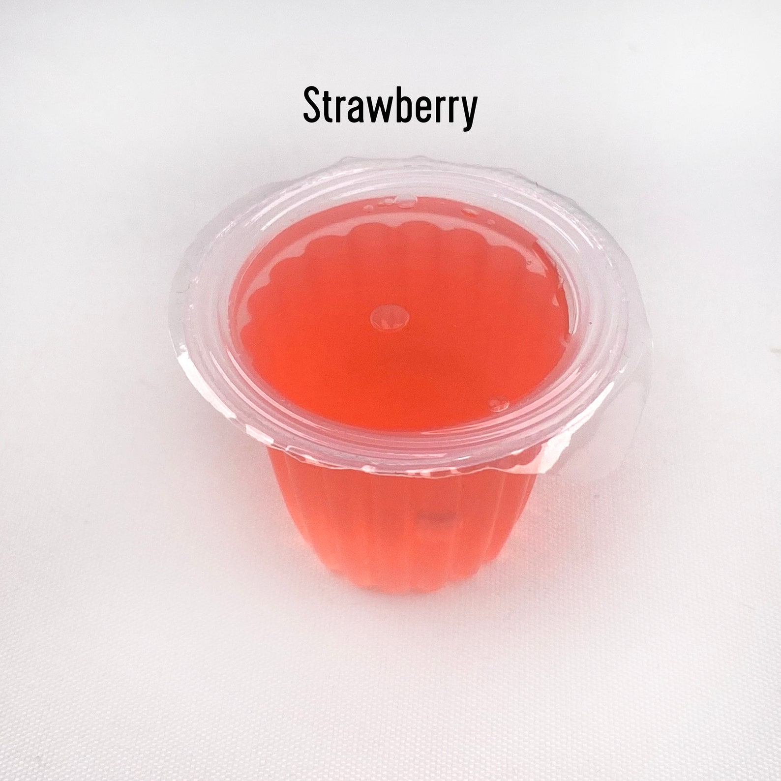 Protein and Sugar Jelly for Ants, Beetles and Other Pet Animals ...
