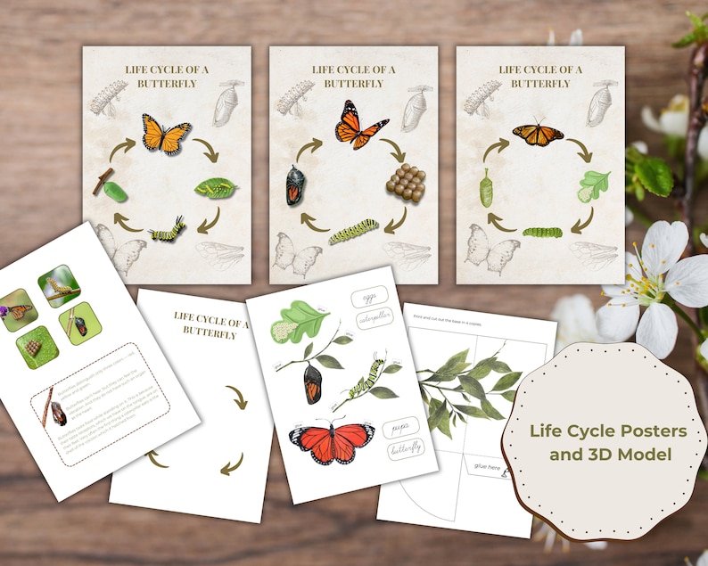 Butterfly Unit Study Life Cycle Homeschool Printables Worksheets ...