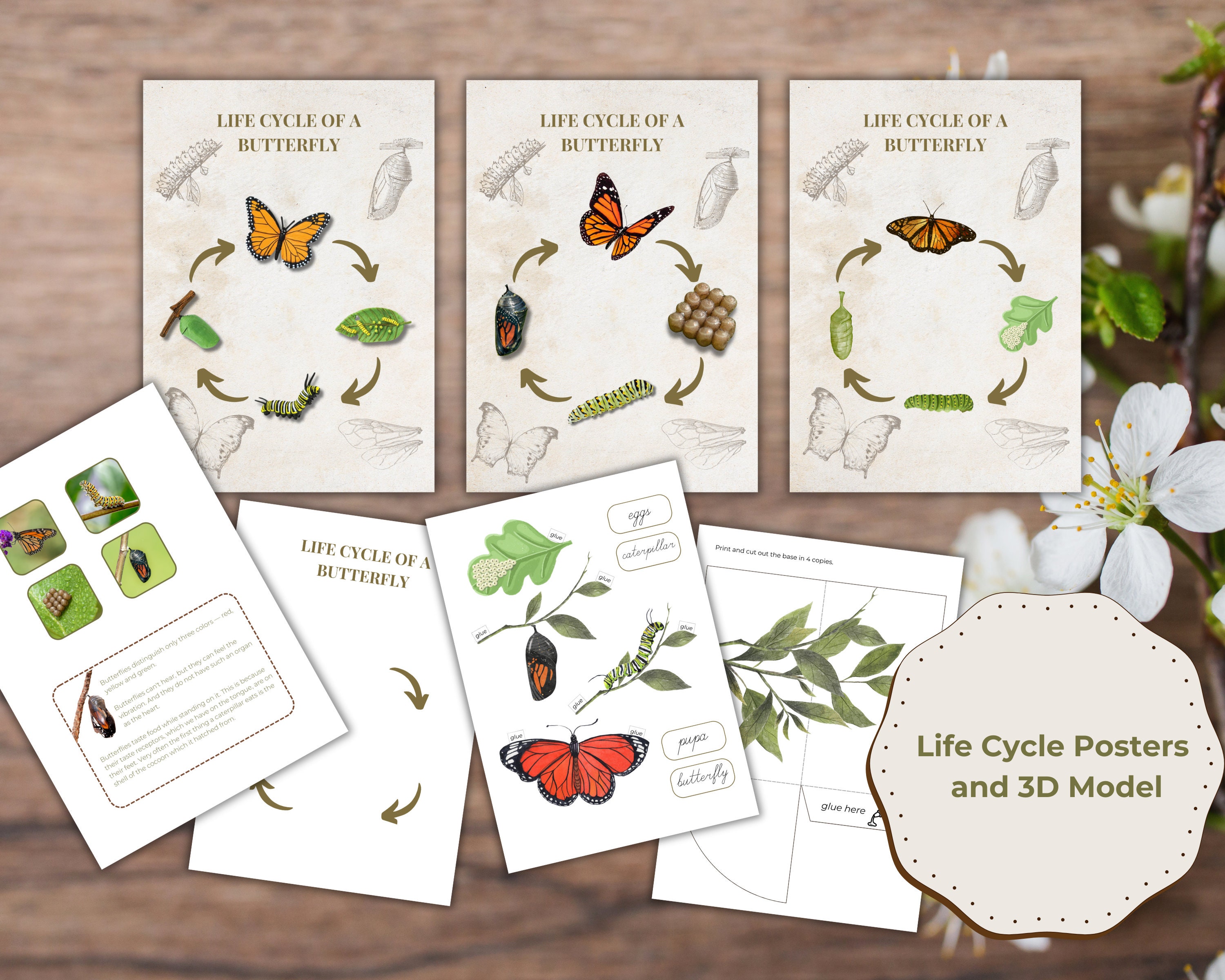 Butterfly Unit Study Life Cycle Homeschool Printables Worksheets ...