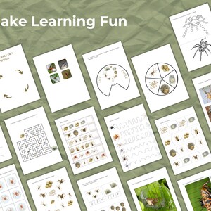 Spider Unit Study Printable Flashcards Life Cycle Pack Nature Study ...