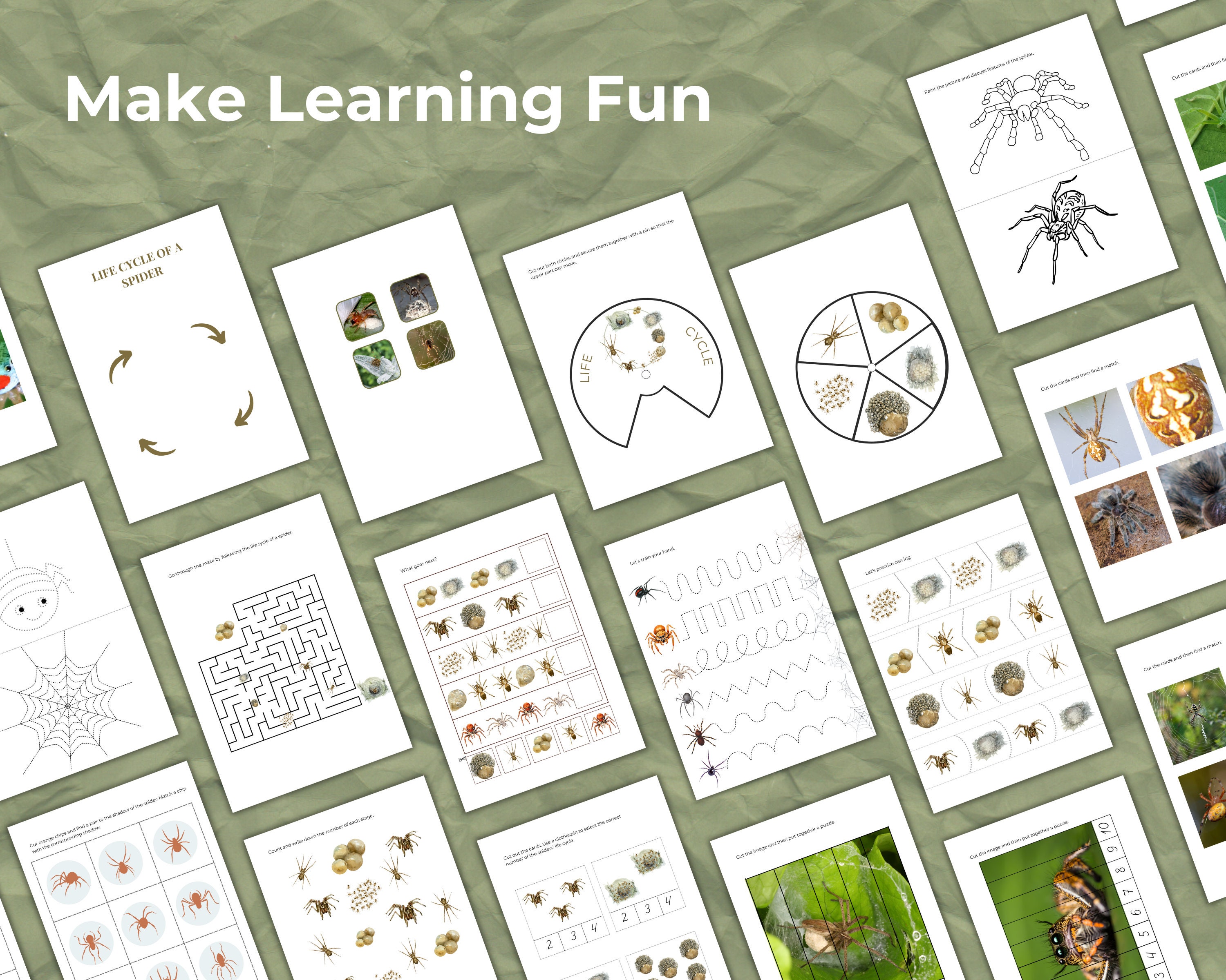 Spider Unit Study Printable Flashcards Life Cycle Pack Nature Study ...