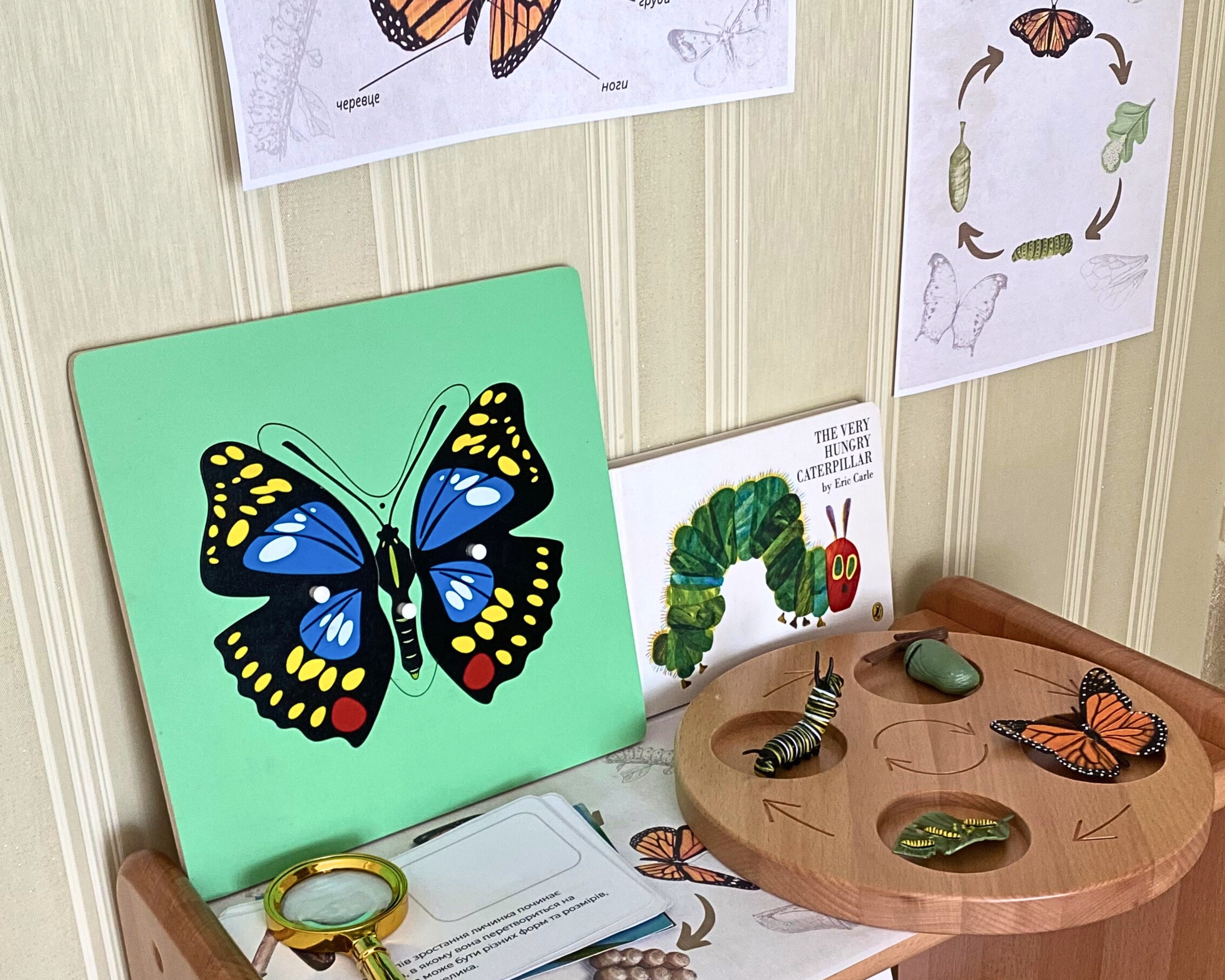 Butterfly Life Cycle Montessori Printables – Homeschool Nature Study ...