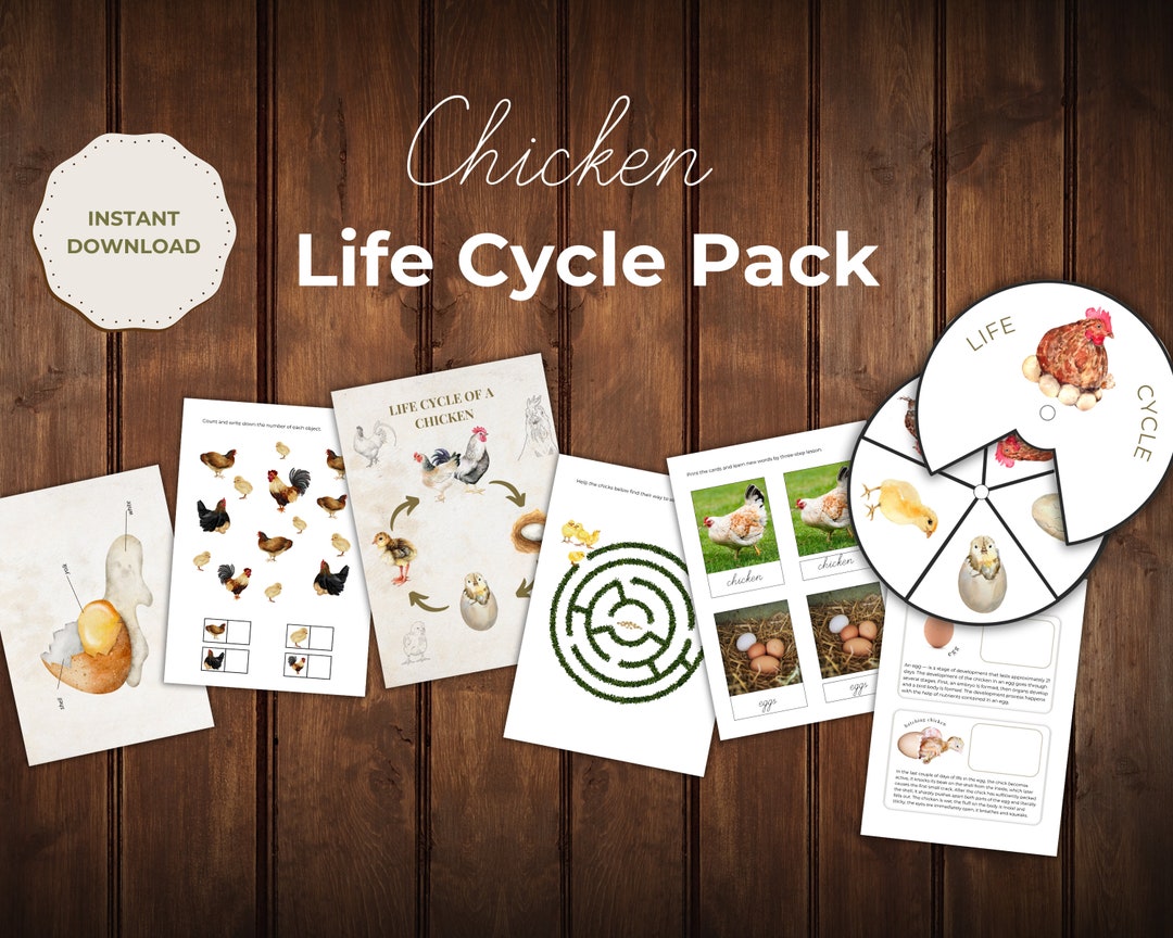Chicken Life Cycle Printable | Montessori Farm Unit | Animal Science ...