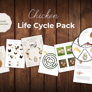Chicken Life Cycle Unit Study | Printable Learning Pack | Montessori ...
