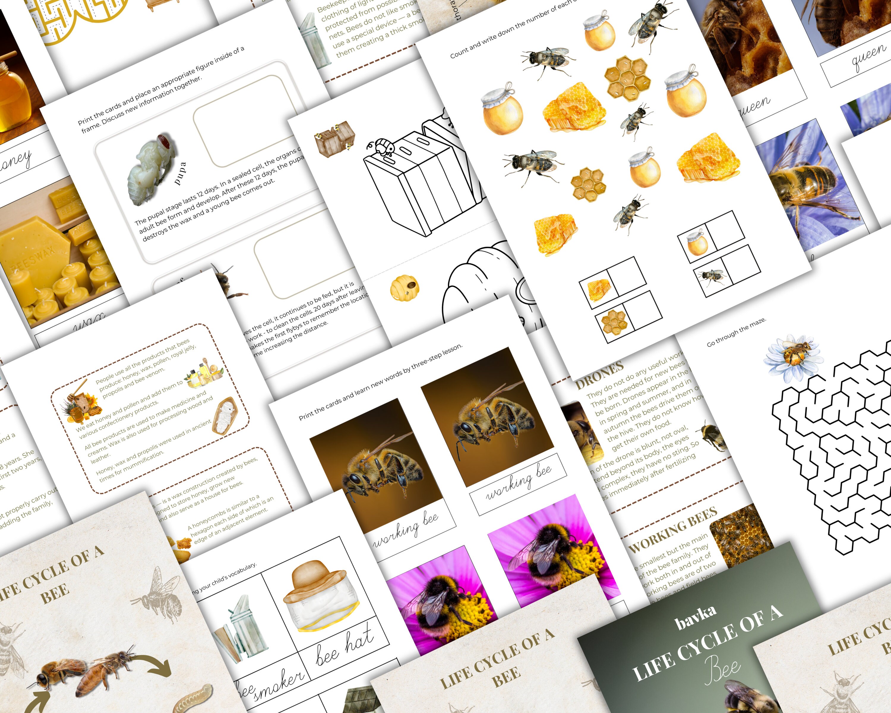 Bee Life Cycle Unit Study | Pollinator Learning Pack | Hive & Honey ...