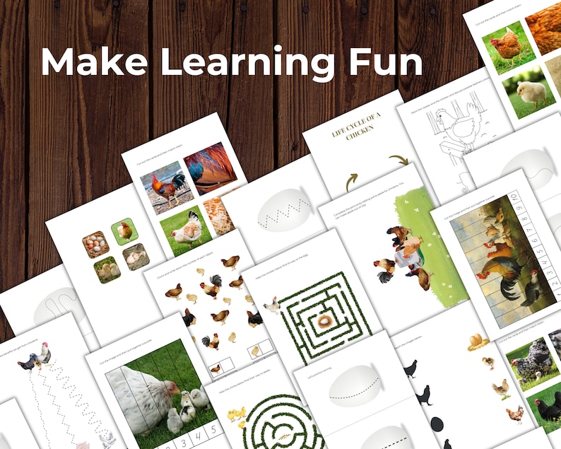 Chicken Life Cycle Printable | Montessori Farm Unit | Animal Science ...