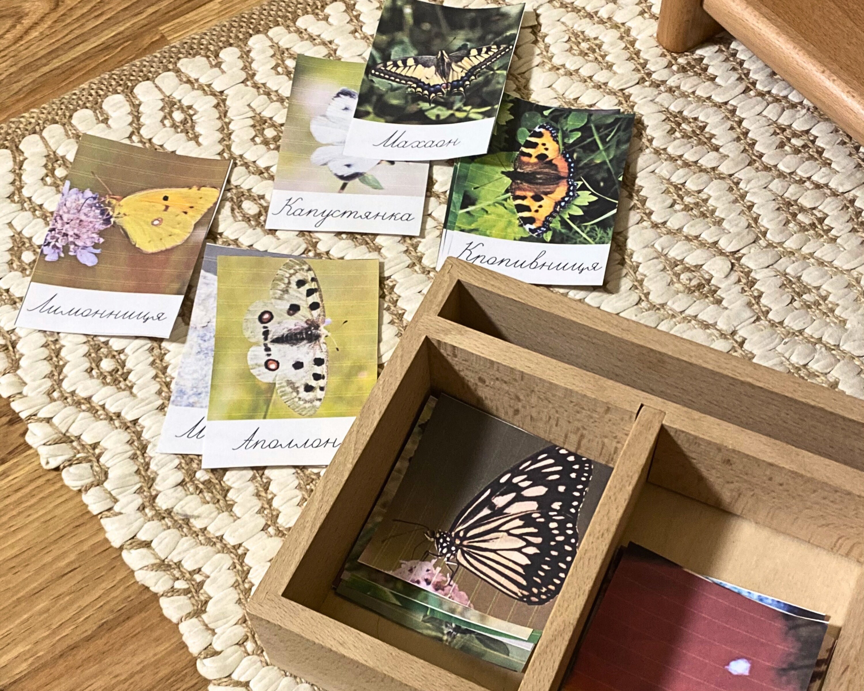 Butterfly Unit Study Life Cycle Homeschool Printables Worksheets ...