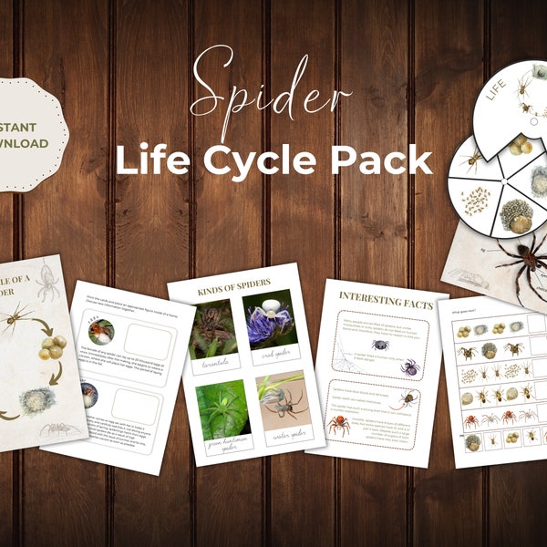 Spider - Etsy UK