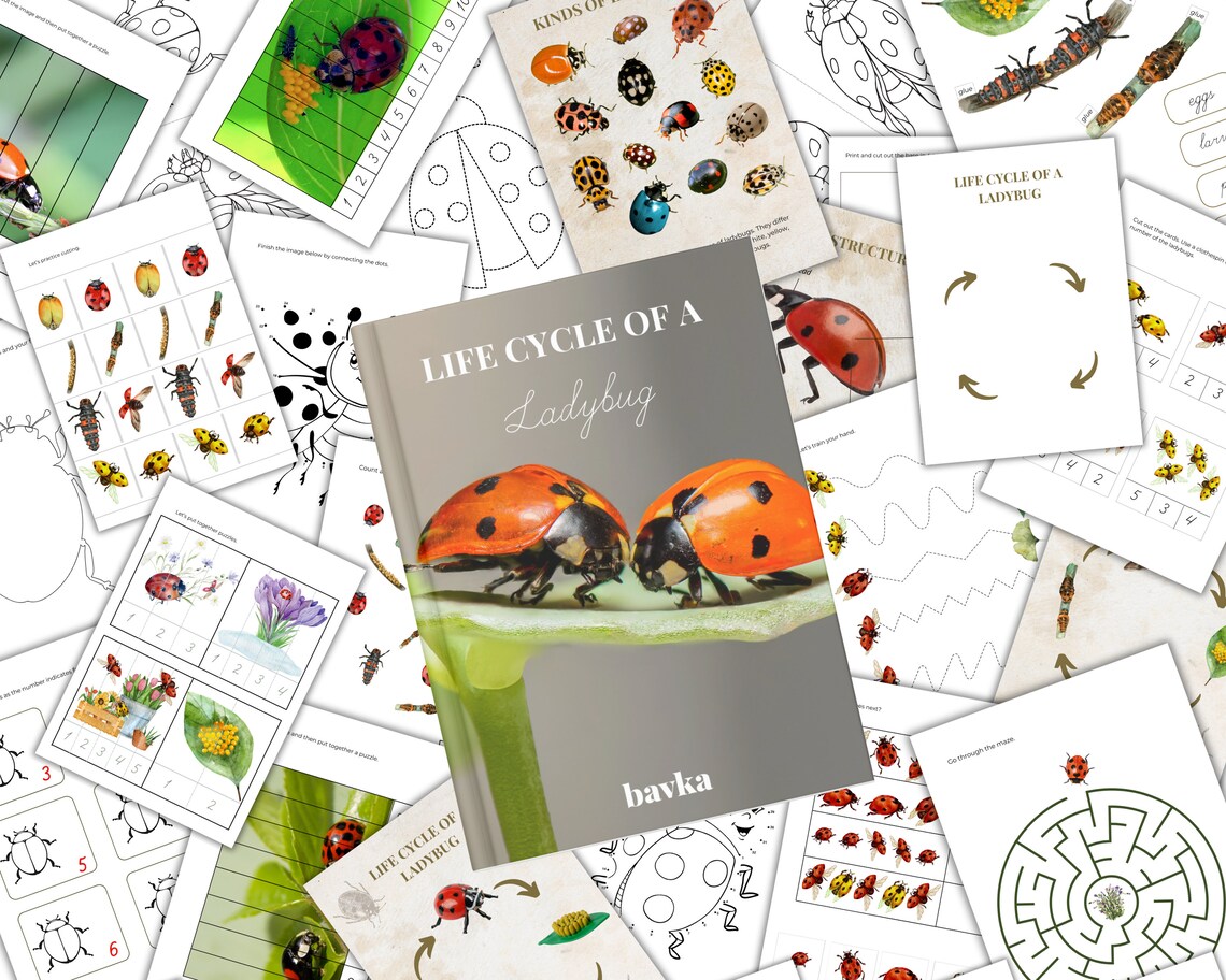 Ladybug Life Cycle Unit Study | Insect Learning Pack | Montessori ...