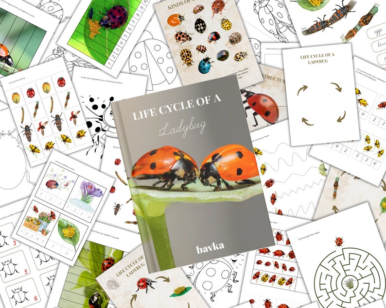 Ladybug Life Cycle Unit Study | Insect Learning Pack | Montessori ...