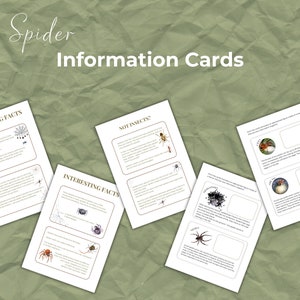 Spider Unit Study Printable Flashcards Life Cycle Pack Nature Study ...