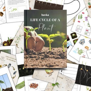Plant Unit Study Printable Flashcards Life Cycle Pack Nature Study ...