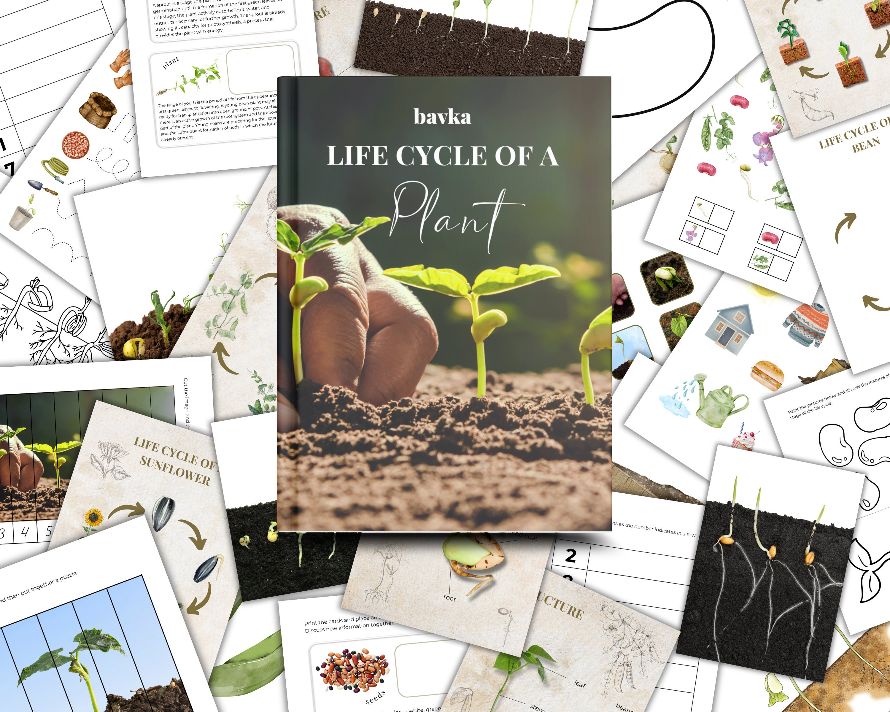 Plant Unit Study Printable Flashcards Life Cycle Pack Nature Study ...