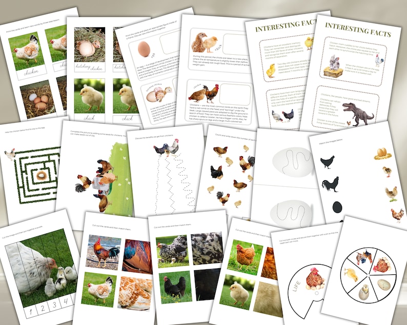 Chicken Life Cycle Printable | Montessori Farm Unit | Animal Science ...