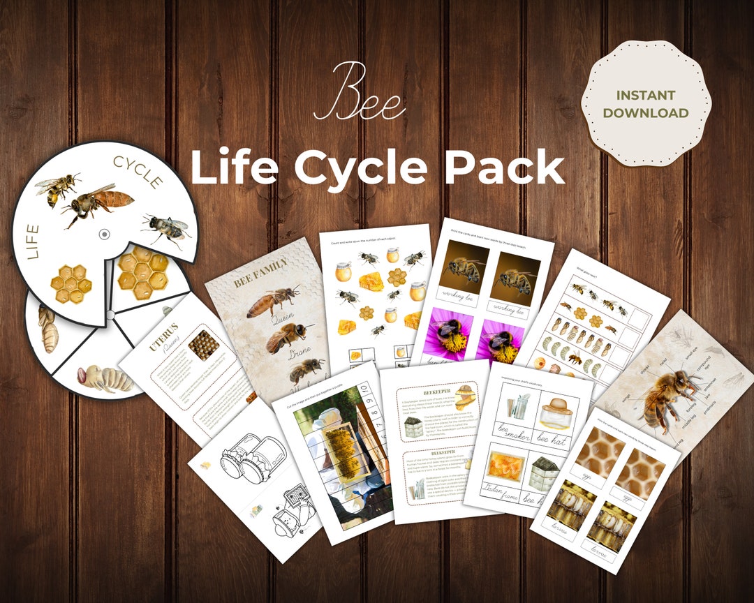 Bee Unit Study Printable Flashcards Life Cycle Pack Nature Study ...