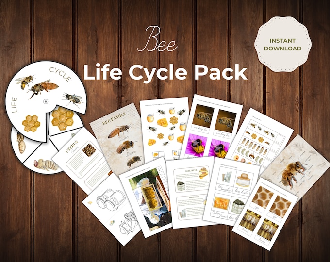 Life Cycle of a Honey Bee Printable, Bee Science Unit Study, Honey Bee ...