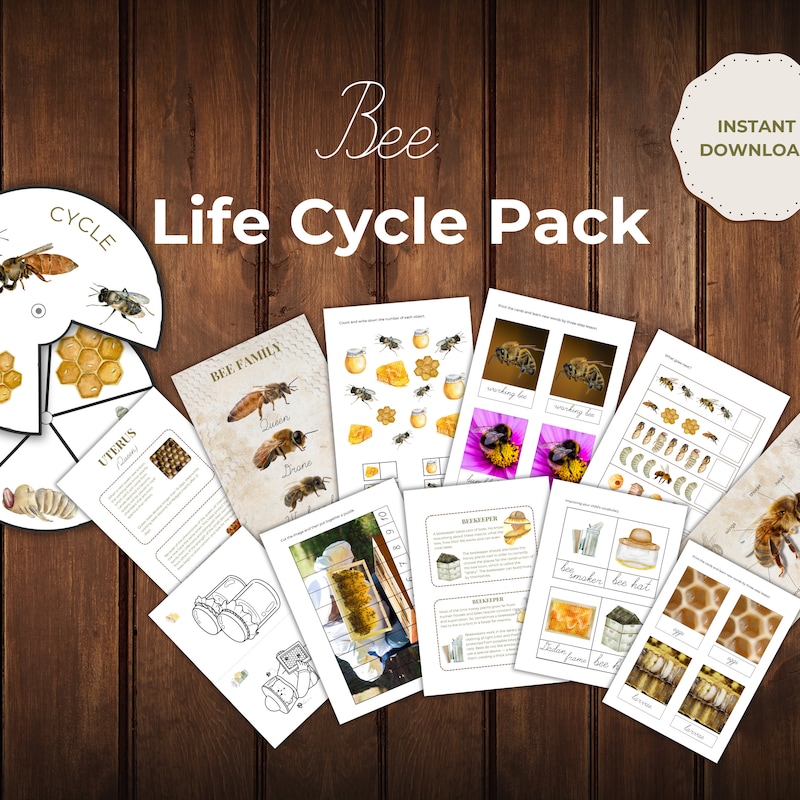 Honey Bee Unit - Etsy