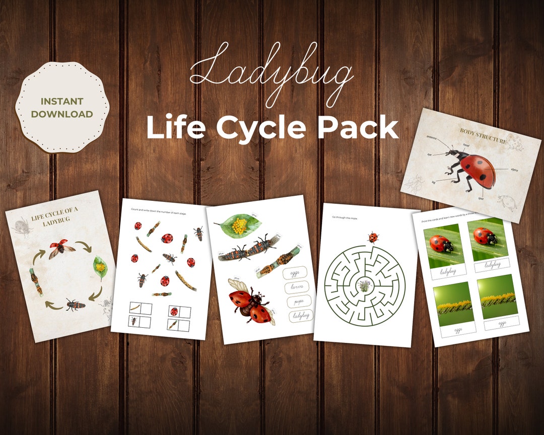Ladybug Life Cycle Unit Study | Insect Learning Pack | Montessori ...