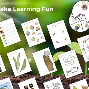 Plant Unit Study Printable Flashcards Life Cycle Pack Nature Study ...