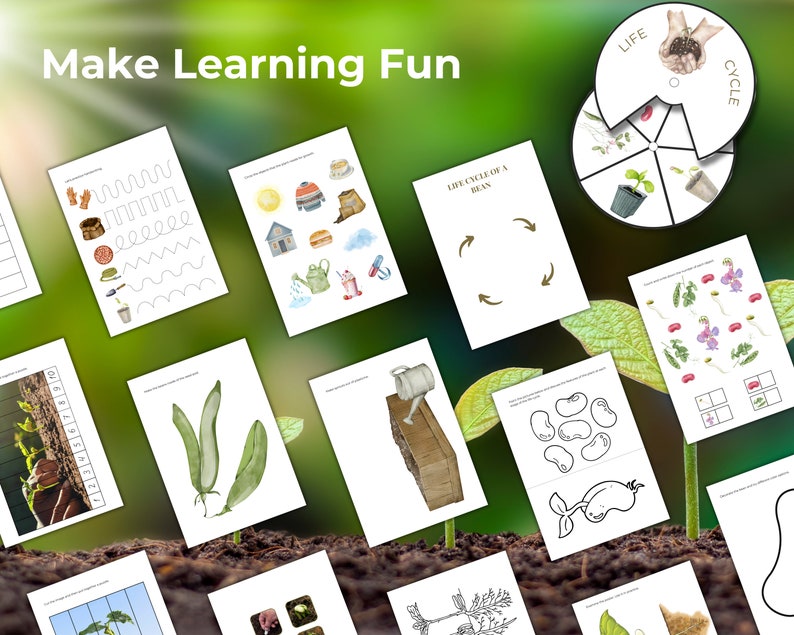 Plant Unit Study Printable Flashcards Life Cycle Pack Nature Study ...