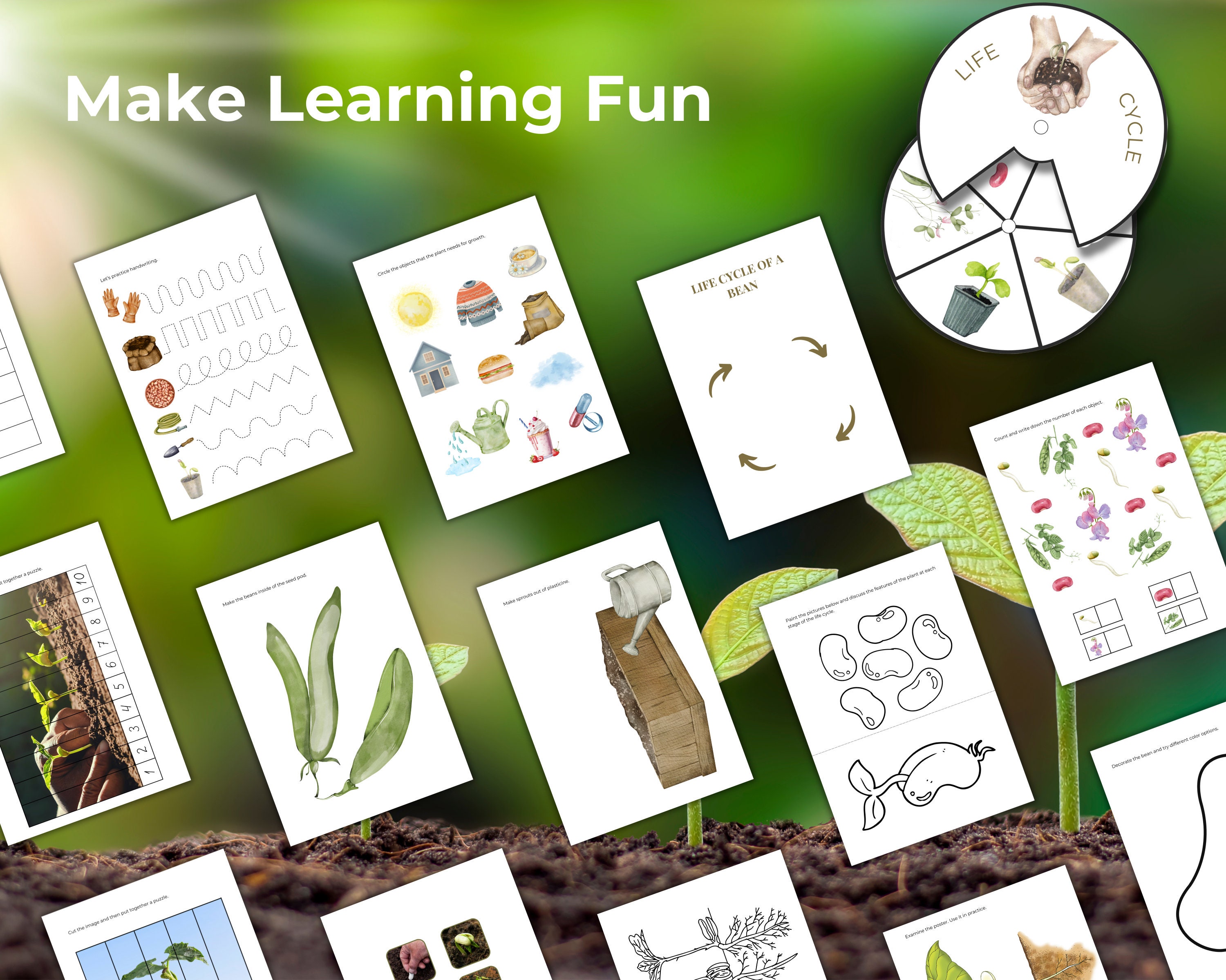 Plant Unit Study Printable Flashcards Life Cycle Pack Nature Study ...