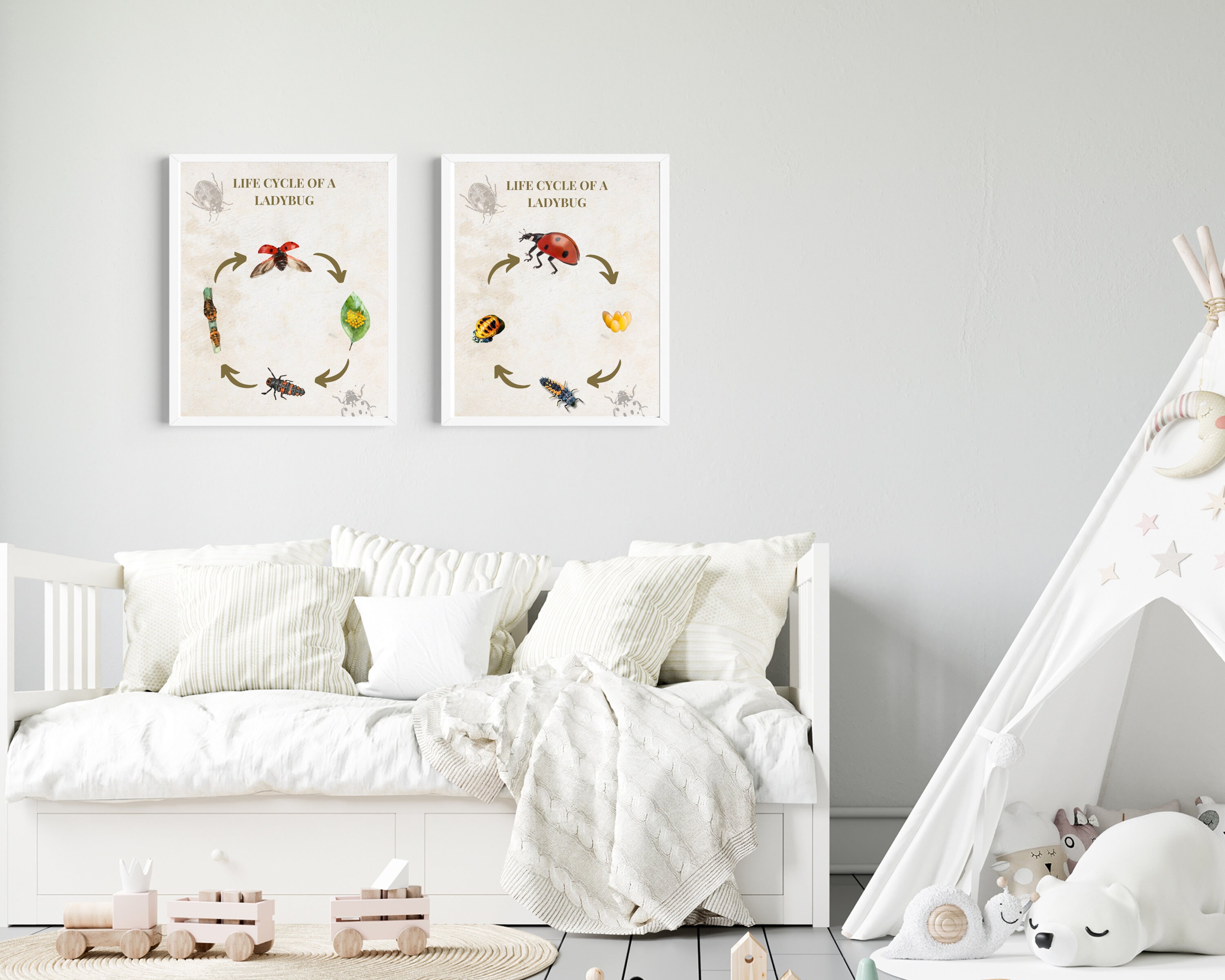 Ladybug Life Cycle Unit Study | Insect Learning Pack | Montessori ...