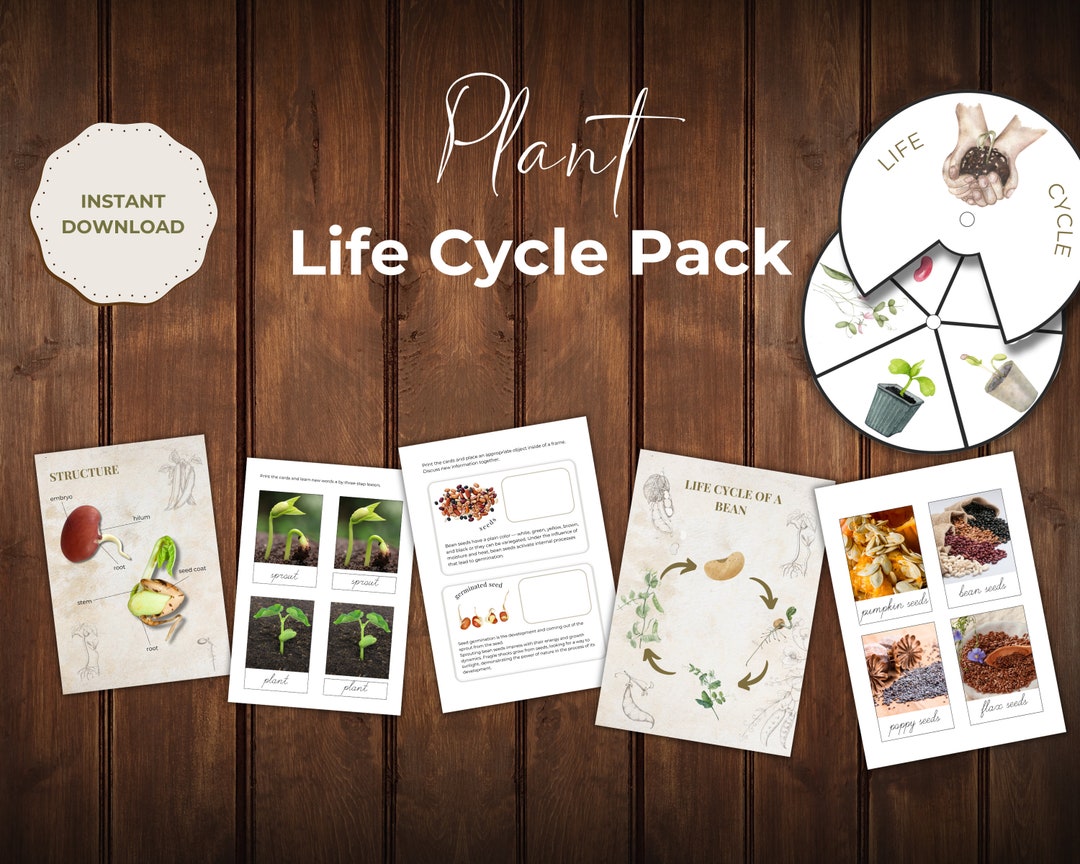 Plant Unit Study Printable Flashcards Life Cycle Pack Nature Study ...