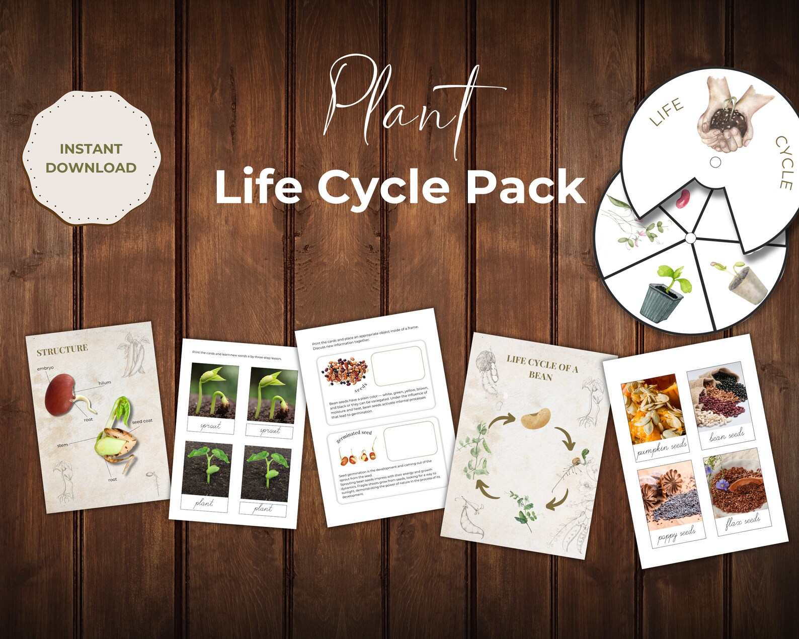 Plant Unit Study Printable Flashcards Life Cycle Pack Nature Study ...