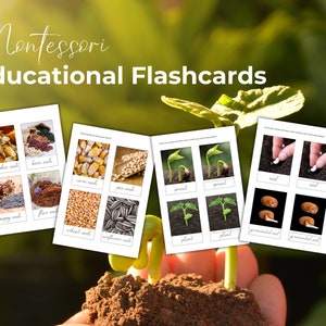 Plant Unit Study Printable Flashcards Life Cycle Pack Nature Study ...