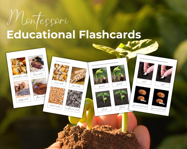 Plant Unit Study Printable Flashcards Life Cycle Pack Nature Study ...