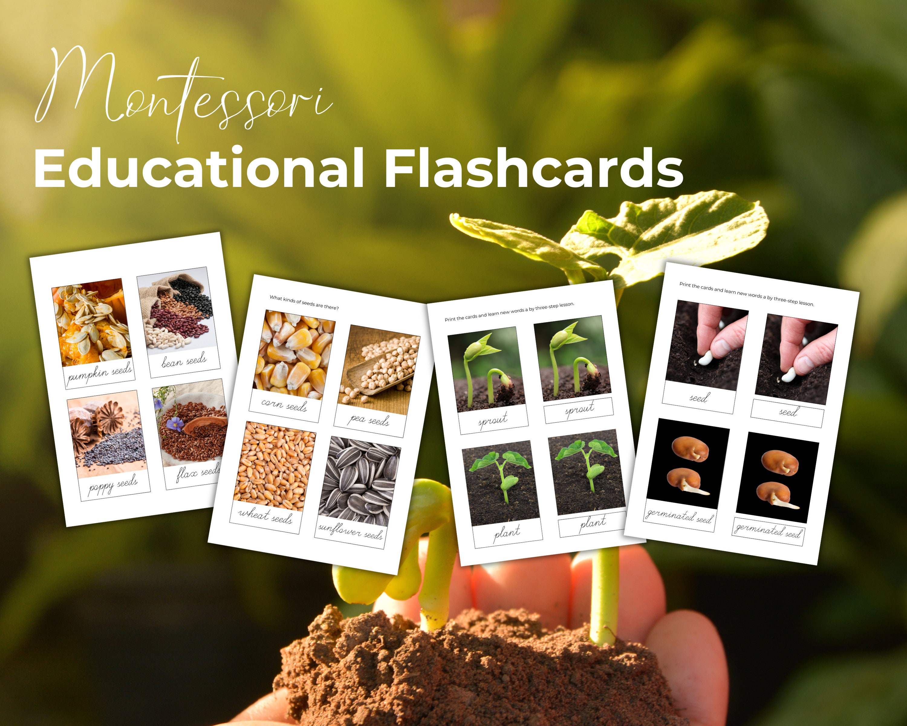 Plant Unit Study Printable Flashcards Life Cycle Pack Nature Study ...