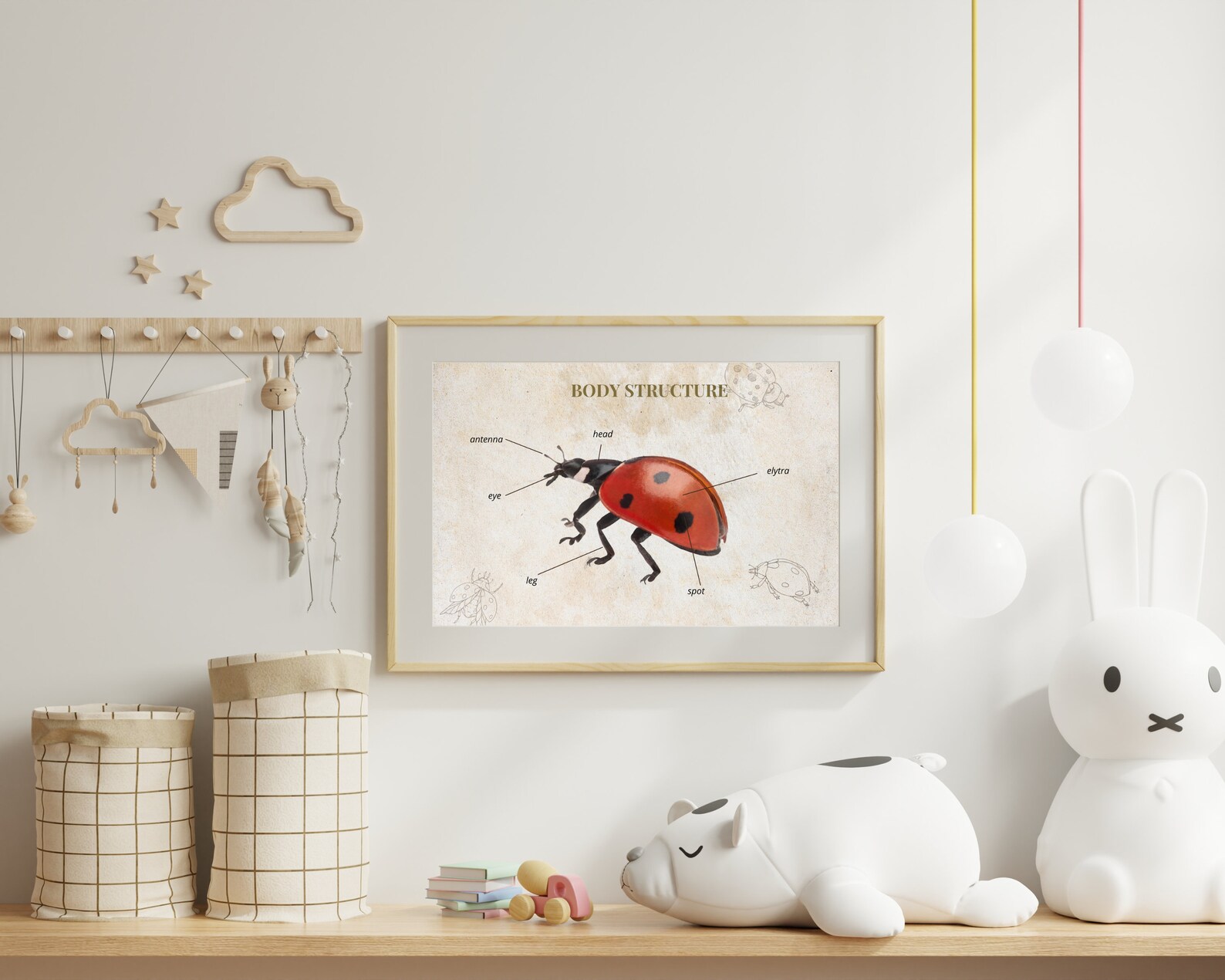 Ladybug Life Cycle Unit Study | Insect Learning Pack | Montessori ...