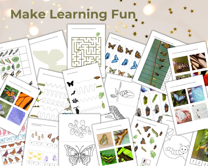 Butterfly Unit Study Life Cycle Homeschool Printables Worksheets ...