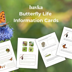Butterfly Unit Study Life Cycle Homeschool Printables Worksheets ...