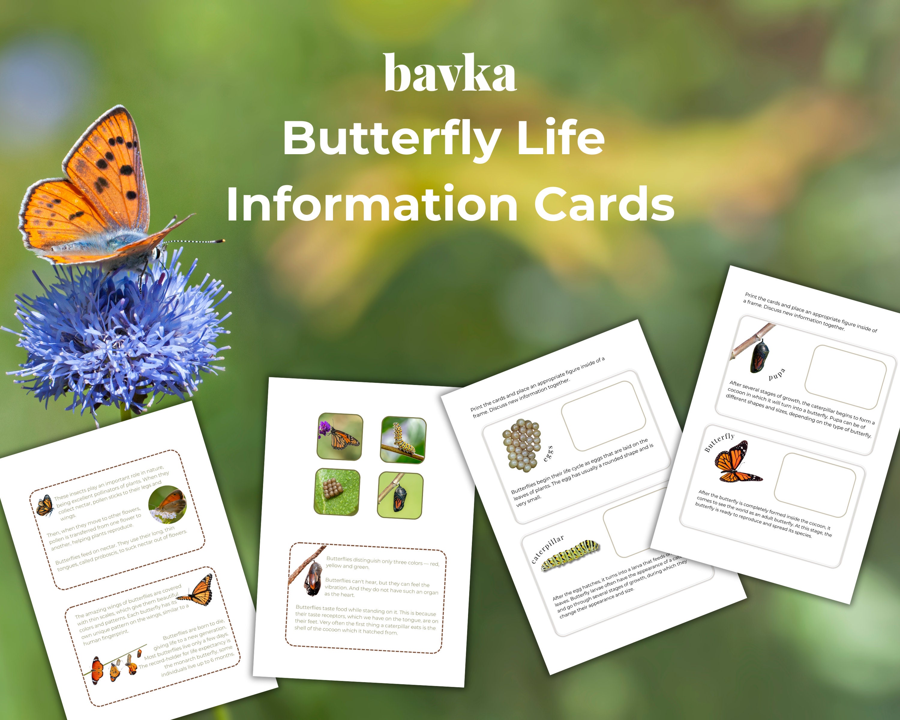 Butterfly Unit Study Life Cycle Homeschool Printables Worksheets ...