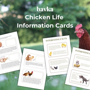 Chicken Life Cycle Printable | Montessori Farm Unit | Animal Science ...