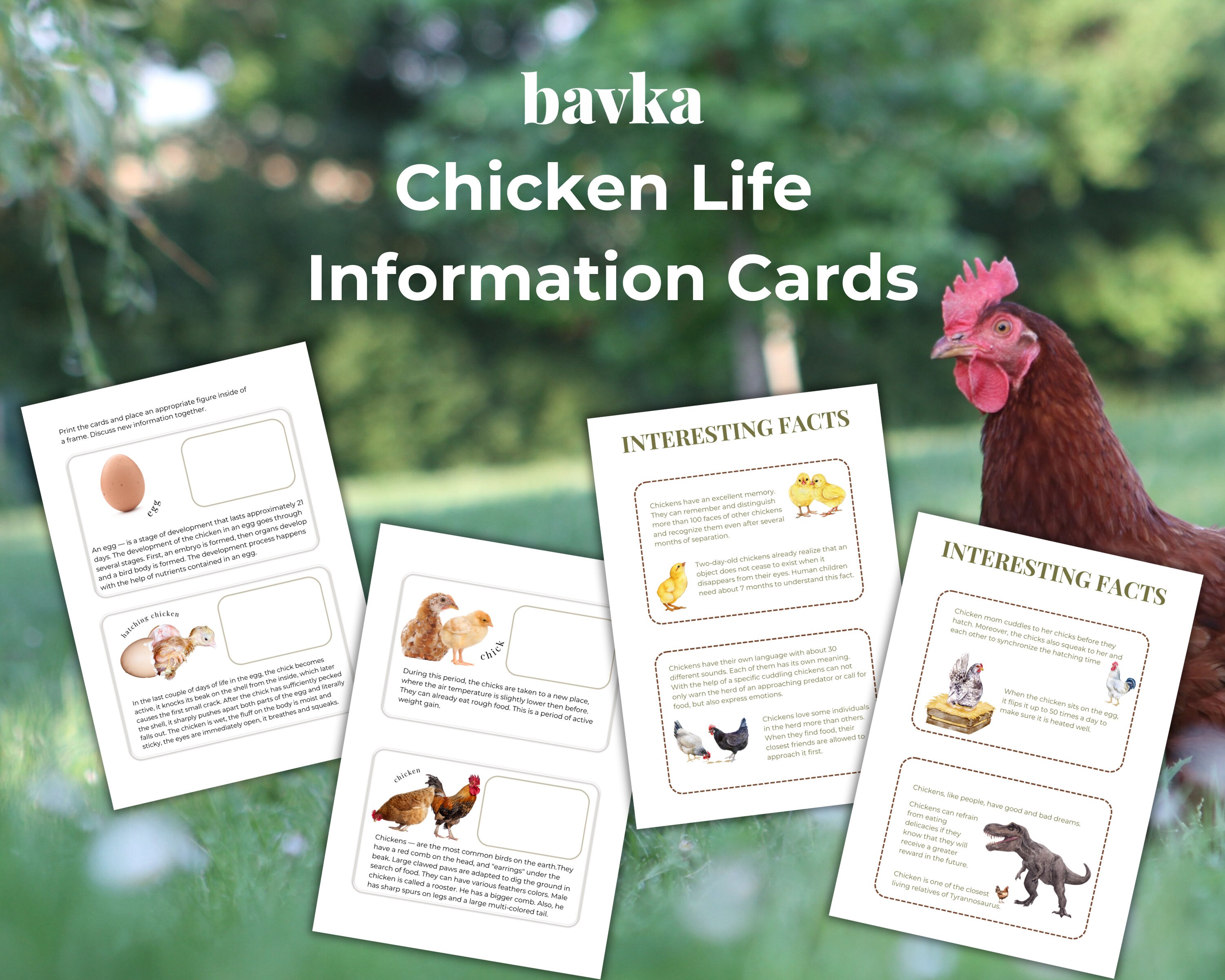 Chicken Life Cycle Printable | Montessori Farm Unit | Animal Science ...
